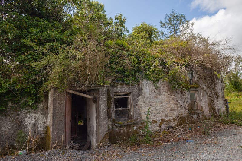 Abandoned Home Overgrown editorial stock image. Image of building ...
