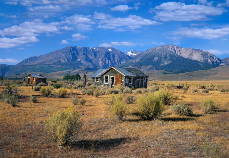 Abandoned Homestead stock photo. Image of building, sagebrush - 9288074