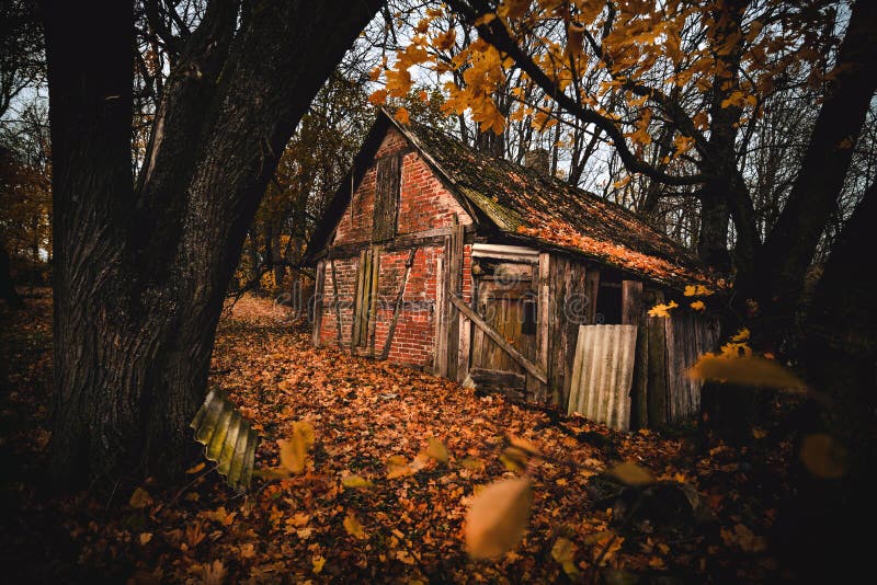 Abandoned House in Autumn Colored Forest Stock Image - Image of dark ...