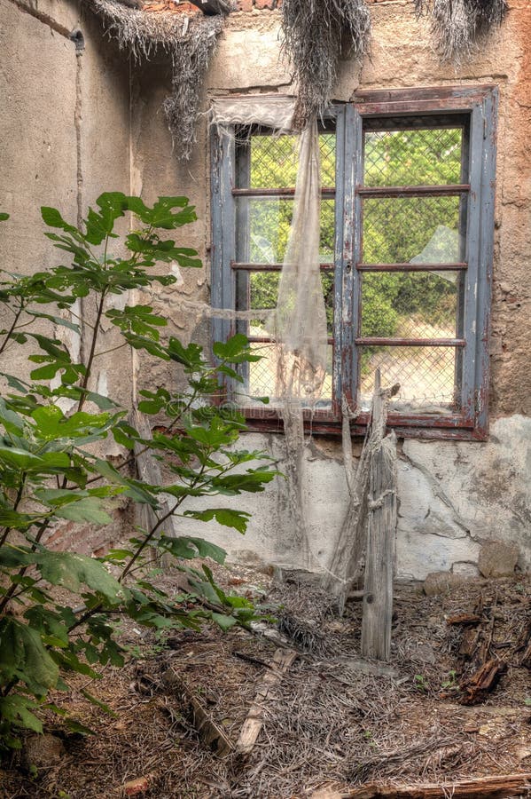 Abandoned house stock image. Image of dirty, abandoned - 44582203