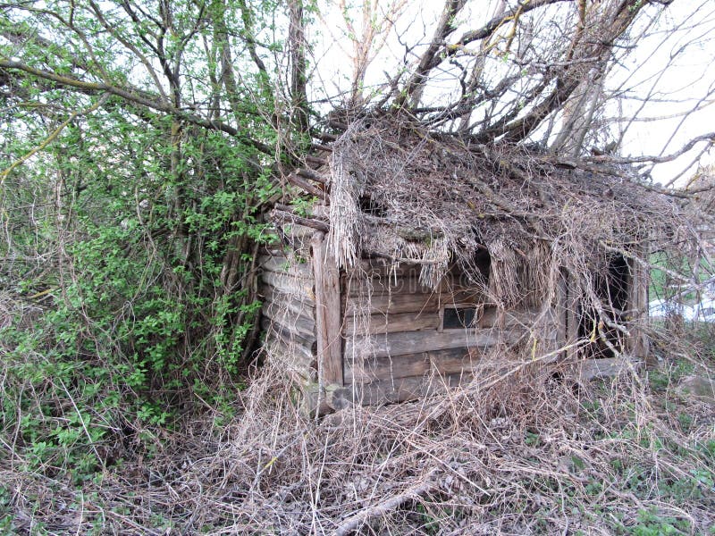 Abandoned hut stock photo. Image of abandoned, outskirts - 61212232