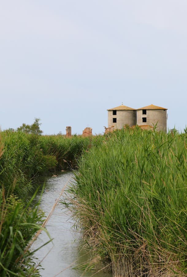 Abandoned Industrial Building and the Swamp Stock Image - Image of ...