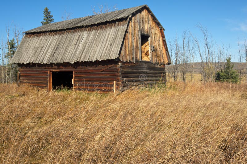 Abandoned Log Barn in Grassy Field Stock Image - Image of barn, pasture ...