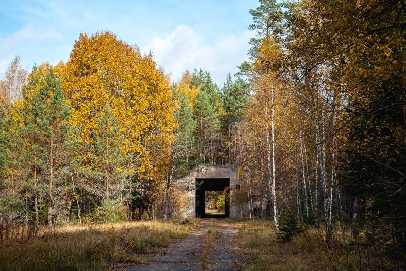 Abandoned Military Site - Air Base in the Forest Stock Image - Image of ...