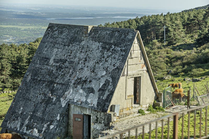 An Abandoned Mountain House with Grazing Cows in the Mountains of ...