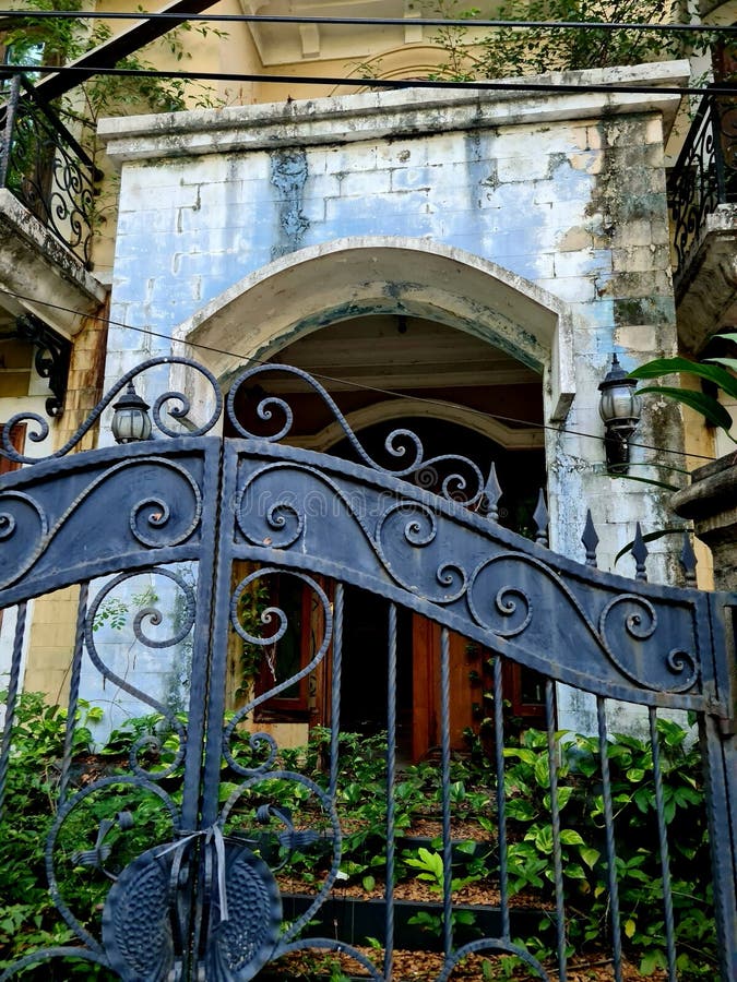 Abandoned Old House Overgrown Plants Stock Photo - Image of damaged ...