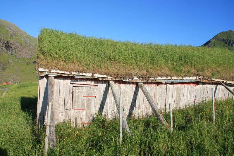 Abandoned Lofoten s shack stock photo. Image of environment - 14132024
