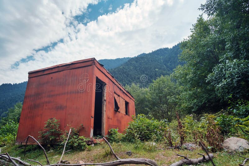 Abandoned Old Rusted Cargo Container the Forest Stock Image - Image of ...