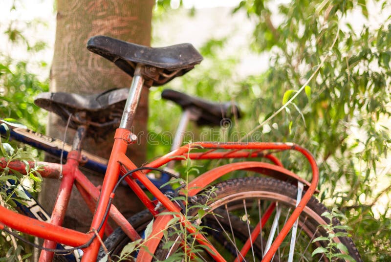 Abandoned Old Rusty Bicycle Against a Tree Stock Photo - Image of ...