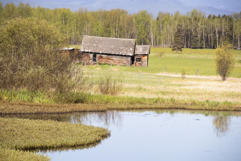 Abandoned Old Wood Building on the Lake. Summer Landscape. Countryside ...