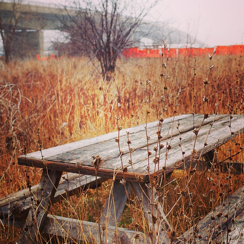 11,270 Overgrown Field Stock Photos - Free & Royalty-Free Stock Photos ...