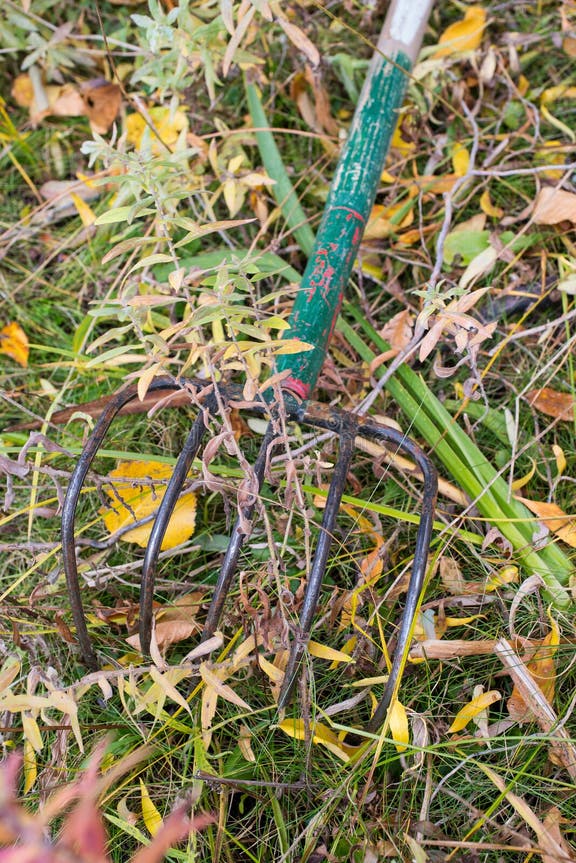 Abandoned Pitchfork stock photo. Image of autumn, abandoned - 102425182