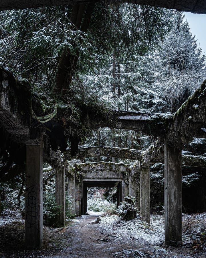 Abandoned Place in Urbex, Czech Republic Stock Photo - Image of ...
