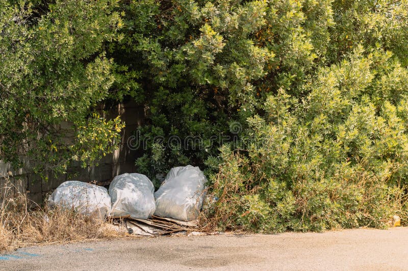 Abandoned Plastic Bags of Garbage on the Road.Environmental Pollution ...