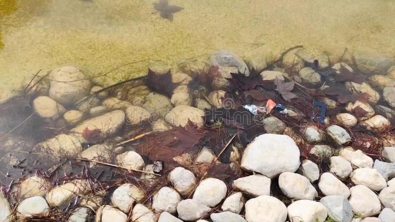 Abandoned Polluted Lake with Green Water, Rocks and Garbage Stock Video ...