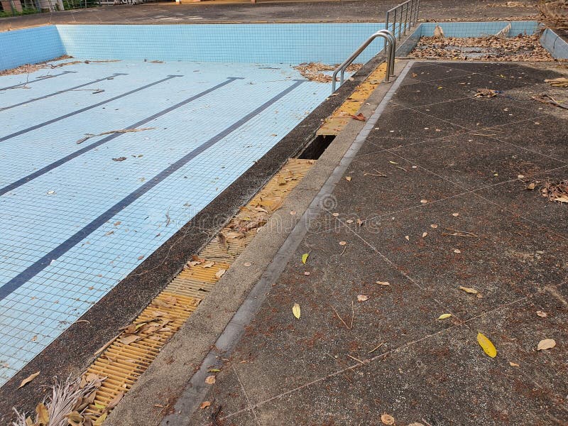 The Abandoned Pool is Empty, Old and Rotten, with Lots of Leaves and ...