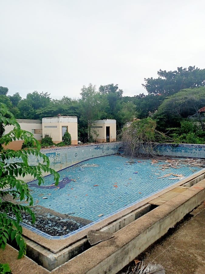 The Abandoned Pool is Empty, Old and Rotten, with Lots of Leaves and ...