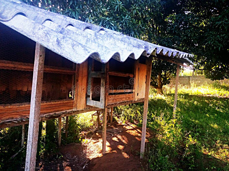 Abandoned rabbit house stock image. Image of rabbit - 122495507