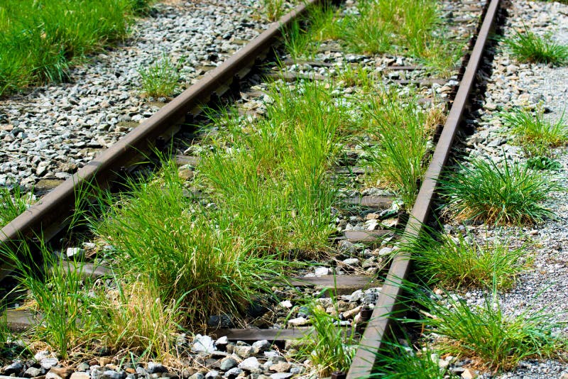 Old Train Tracks stock photo. Image of travel, nature - 53325476