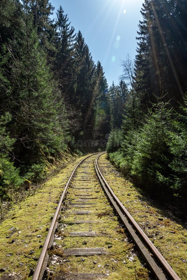 Railway Track in the Forest with Sunlight Stock Photo - Image of view ...