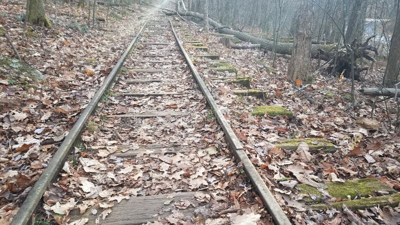 Abandoned railroad tracks stock photo. Image of train - 263937472