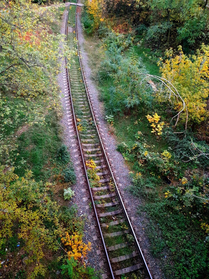 Abandoned railroad tracks stock photo. Image of autumn - 200061104