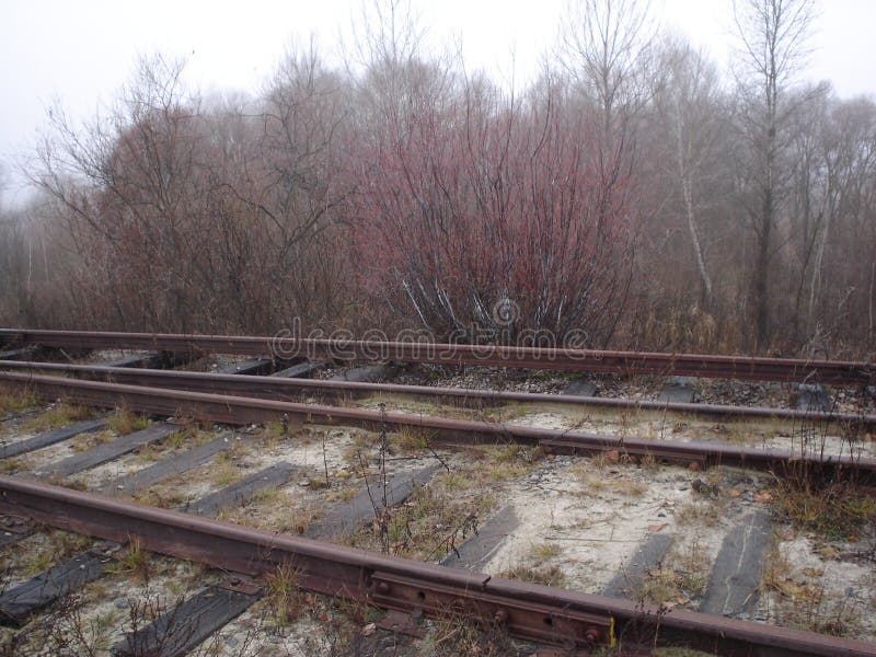 Abandoned railway, rails. stock photo. Image of depot - 323786326