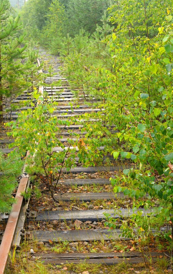 Abandoned railway tracks. stock image. Image of rural - 89853993