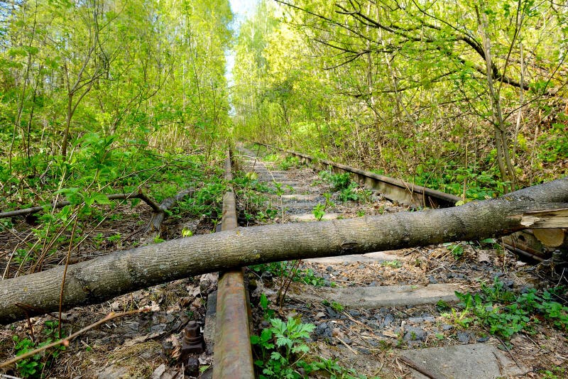 Abandoned Railway with Trees Fallen Down on Rusty Rails Stock Photo ...