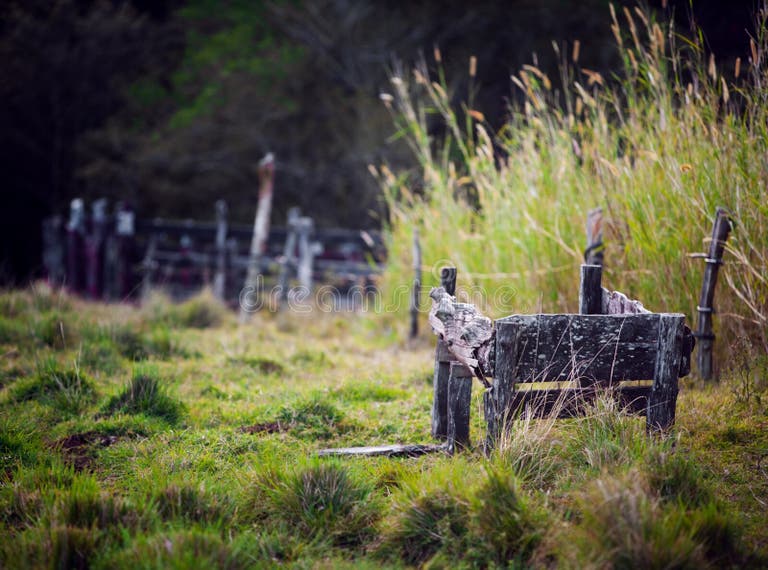 Abandoned Ranch Pen stock photo. Image of overgrown, costa - 25231688