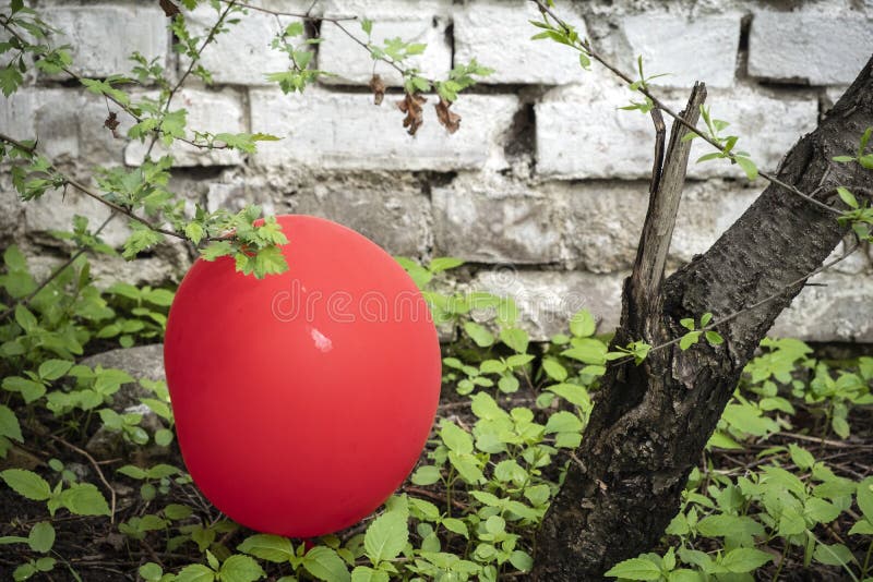 Ballon Stuck Stock Photos - Free & Royalty-Free Stock Photos from ...