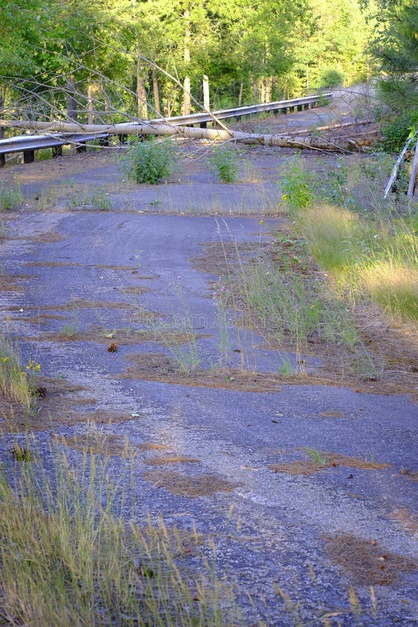 Abandoned Road with Fallen Tree in Roadway Stock Photo - Image of ruins ... Abandoned Road with Fallen Tree in Roadway Stock Photo - Image of ruins ...