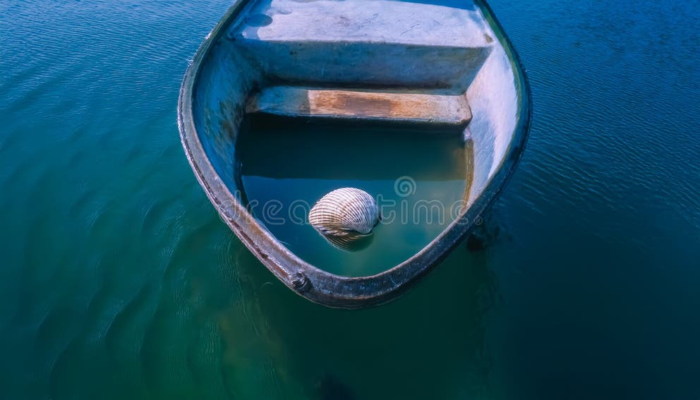 Abandoned Rowboat with Flooded Interior and Floating Shell on Tranquil ...
