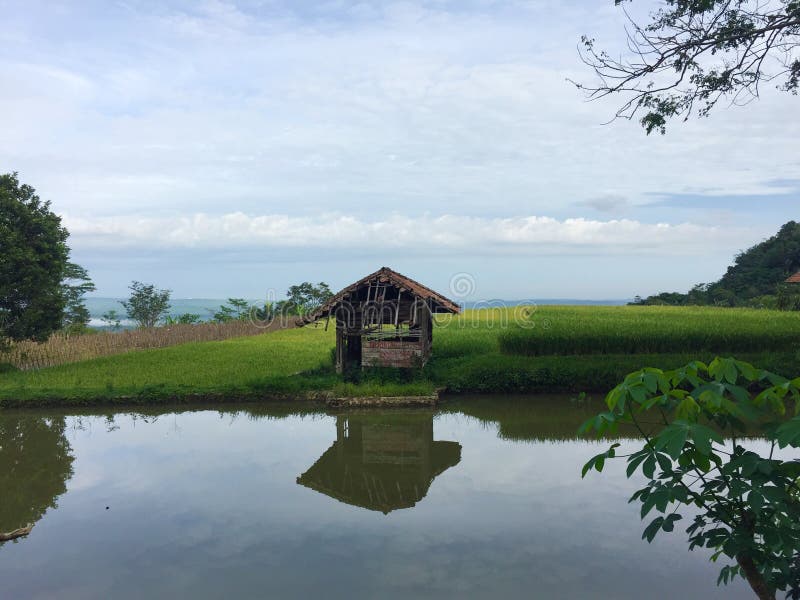 Abandoned and Run-down Shack Houses Stock Image - Image of pond ...