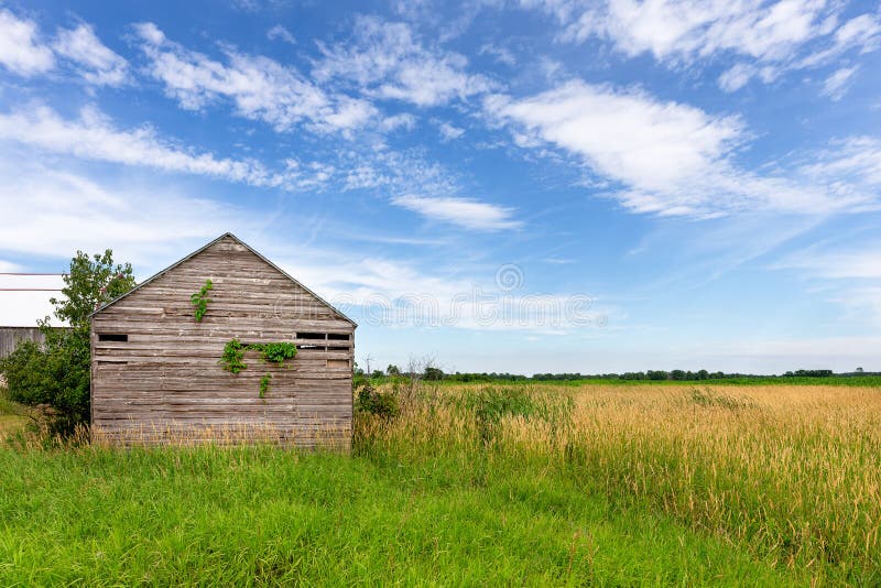 Abandoned Rural Building with Copy Space Stock Photo - Image of green ...