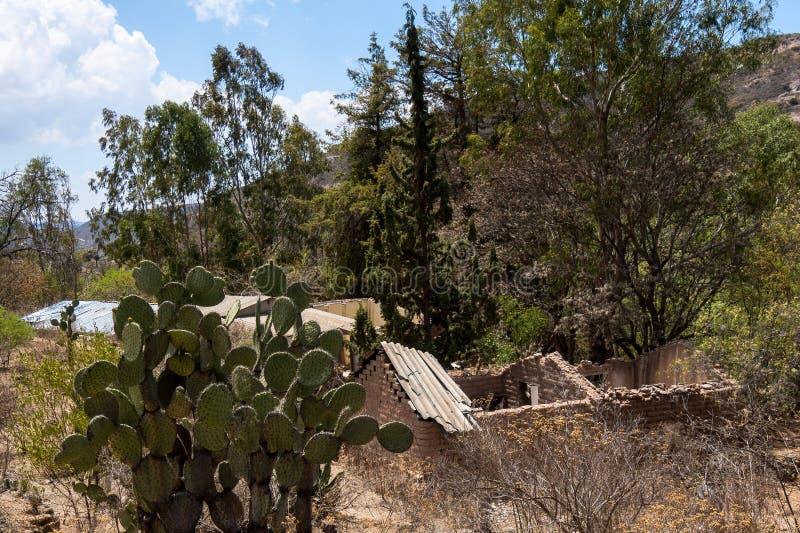 An Abandoned Rural House in the Mountains with Cactus Stock Image ...