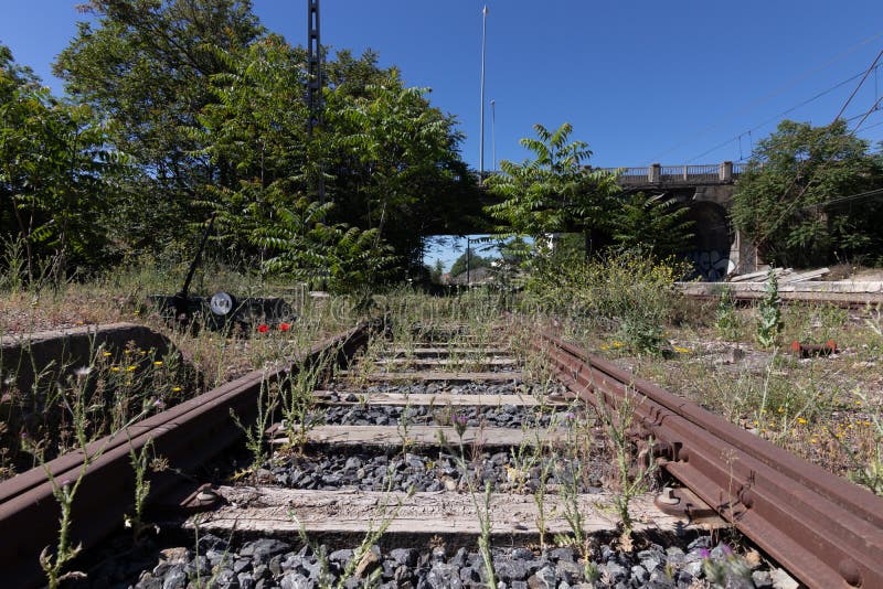 Abandoned and Rusty Railway Going Nowhere Stock Photo - Image of nature ...