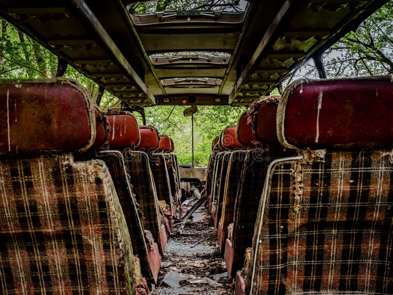 Abandoned Seats on a Rusted Bus in a Forest Stock Photo - Image of ...