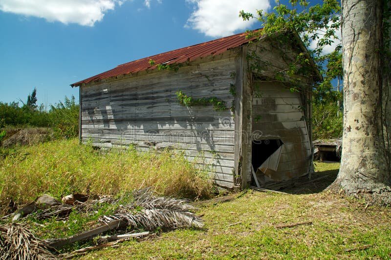 Abandoned Shack stock image. Image of textures, leaning - 31342231