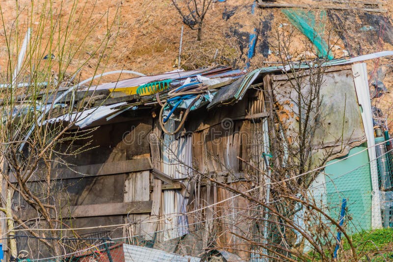 Abandoned Shack Made of Old Wood Stock Photo - Image of home ...