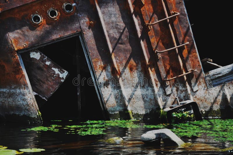 Abandoned Sheep on Pripyat River. Editorial Photography - Image of ...