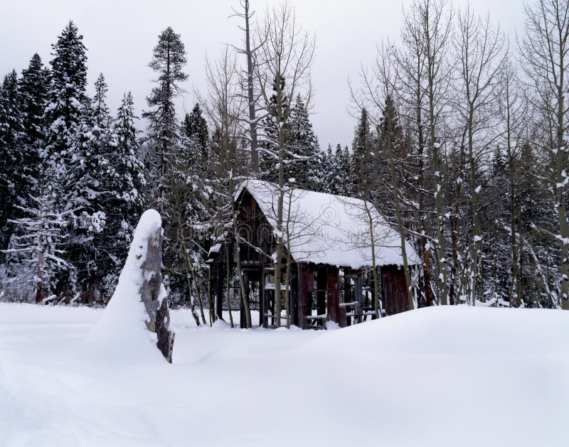 Abandoned Snowy Cabin stock photo. Image of tree, empty - 91673724
