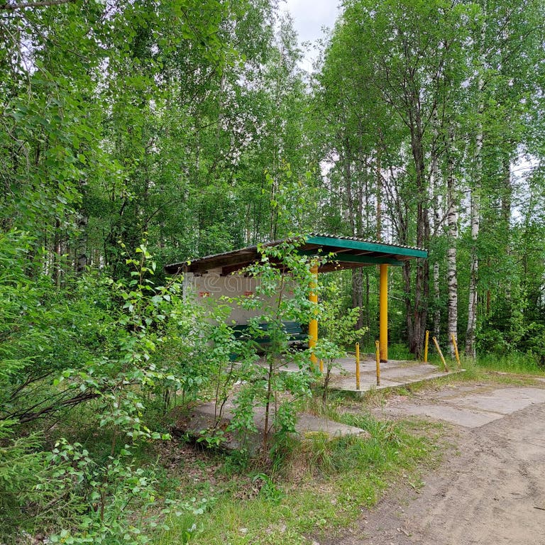 Abandoned Soviet Bus Stop in the Forest Stock Image - Image of woodland ...