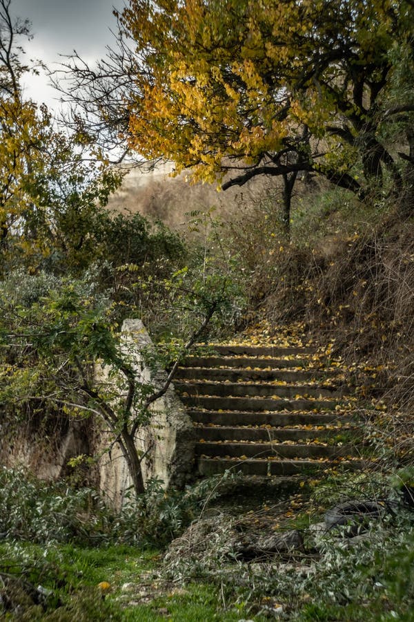 An Abandoned Staircase in the Fall. Stock Photo - Image of water, tree ...