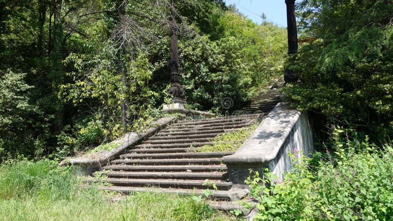 Abandoned Stairs in the Bush Stock Image - Image of staircase, bush ...