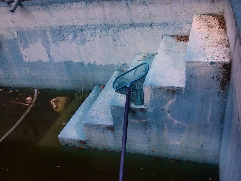 Abandoned Swimming Pool with Standing Water Inside Stock Photo - Image ...