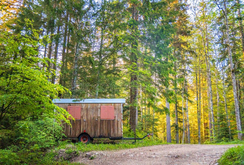 Abandoned Trailer in a Forest during Sunset Stock Image - Image of tree ...