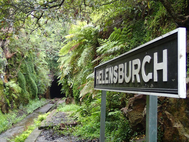 Abandoned Train station stock photo. Image of ferns, forest - 67733734