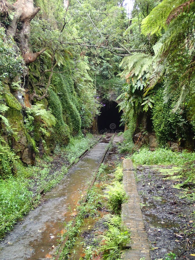 Abandoned Train station stock photo. Image of tracks - 67733746