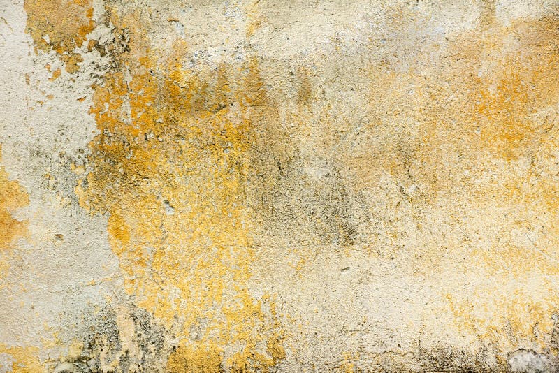 Abandoned wall texture stock photo. Image of dirt, surface - 115448054